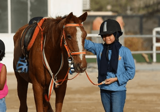 Horse riding for kids near me store