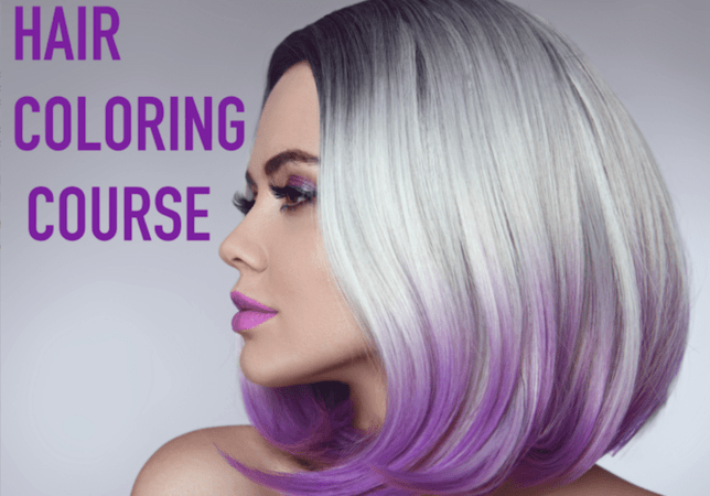 Hair Coloring Course | skilldeer