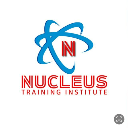 Book classes from Nucleus Training Institute with the best price ...
