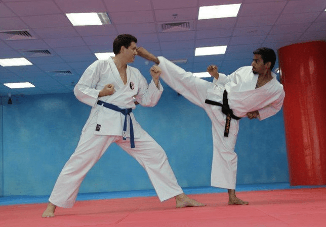 Private Karate Lessons for Any Age | skilldeer