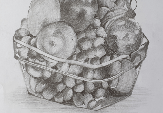 Basic Drawing & Sketching for Kids - Ages: 8-14 | skilldeer