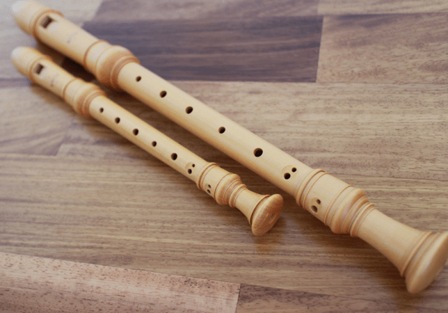 Learn Recorder (Block Flute) with Natalia | skilldeer